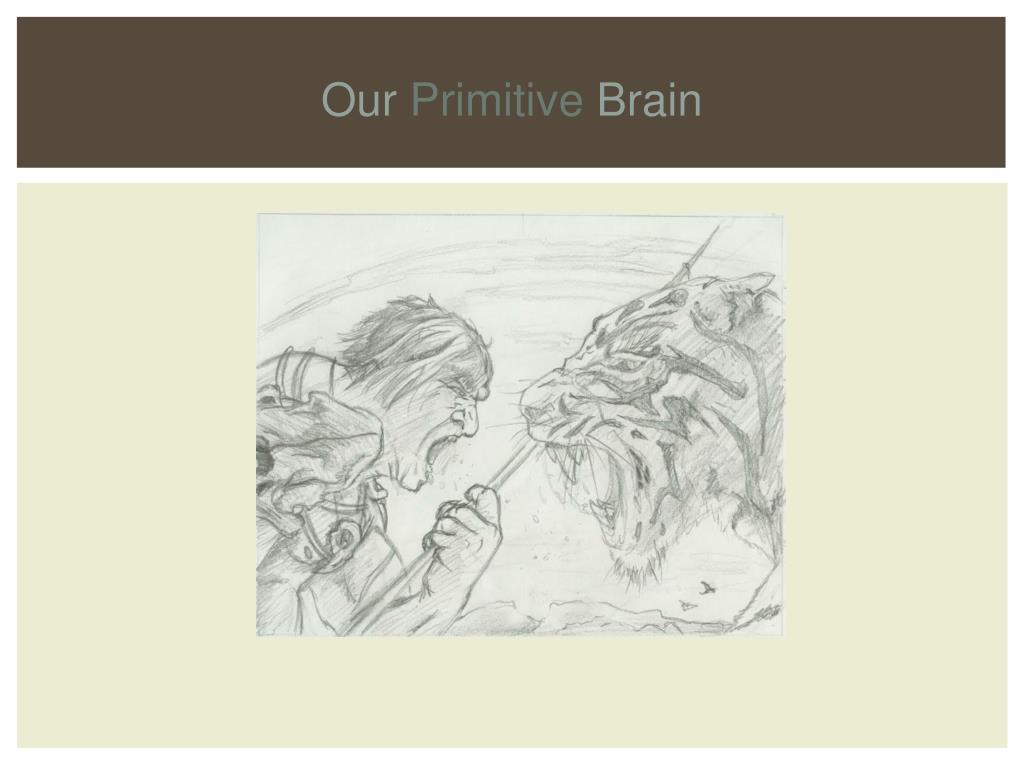 PPT - The Impact of Infant & Early Childhood Mental Health A ...