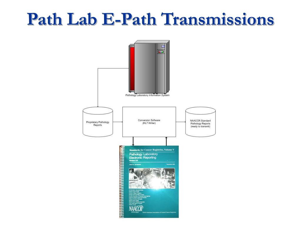 PPT - National HL7 Standards for Electronic Pathology Reporting to ...