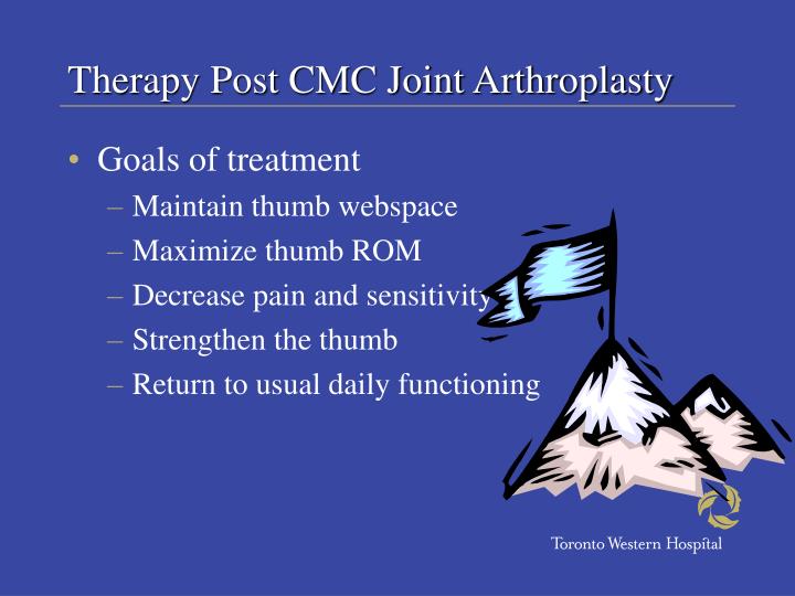 PPT - Therapy Following Thumb CMC Joint Arthroplasty PowerPoint ...