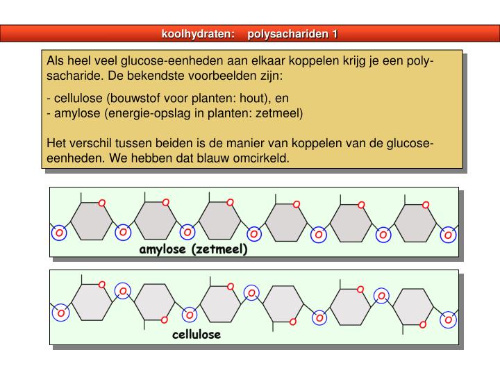 PPT - koolhydraten: voorbeelden van koolhydraten PowerPoint ...
