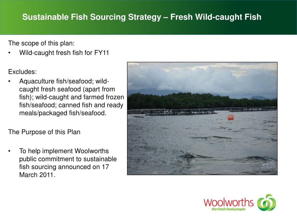 PPT - Sustainable Fish Sourcing Strategy PowerPoint Presentation, free ... PPT - Sustainable Fish Sourcing Strategy PowerPoint Presentation, free ...