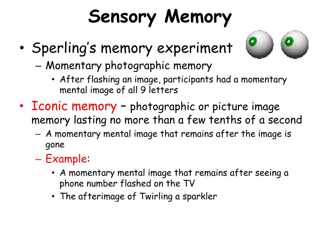 Example Of Sensory Memory In Psychology Slide Share Example Of Sensory Memory In Psychology Slide Share