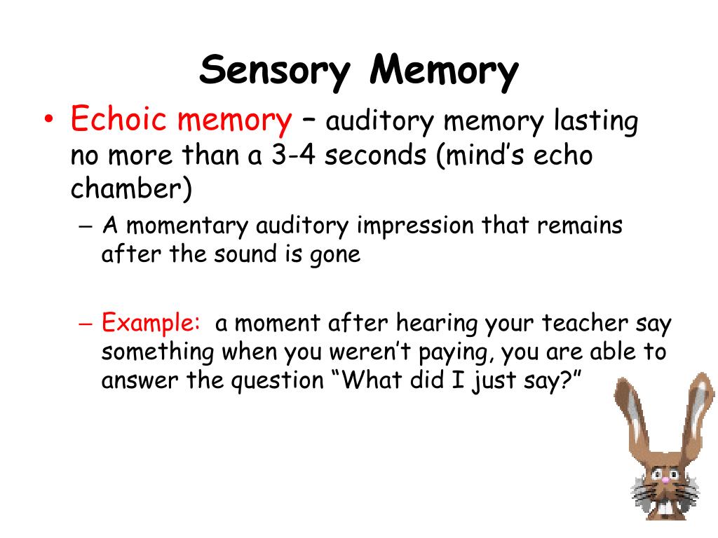 Echoic Memory Psychology Definition Example Slidesharetrick Echoic Memory Psychology Definition Example Slidesharetrick