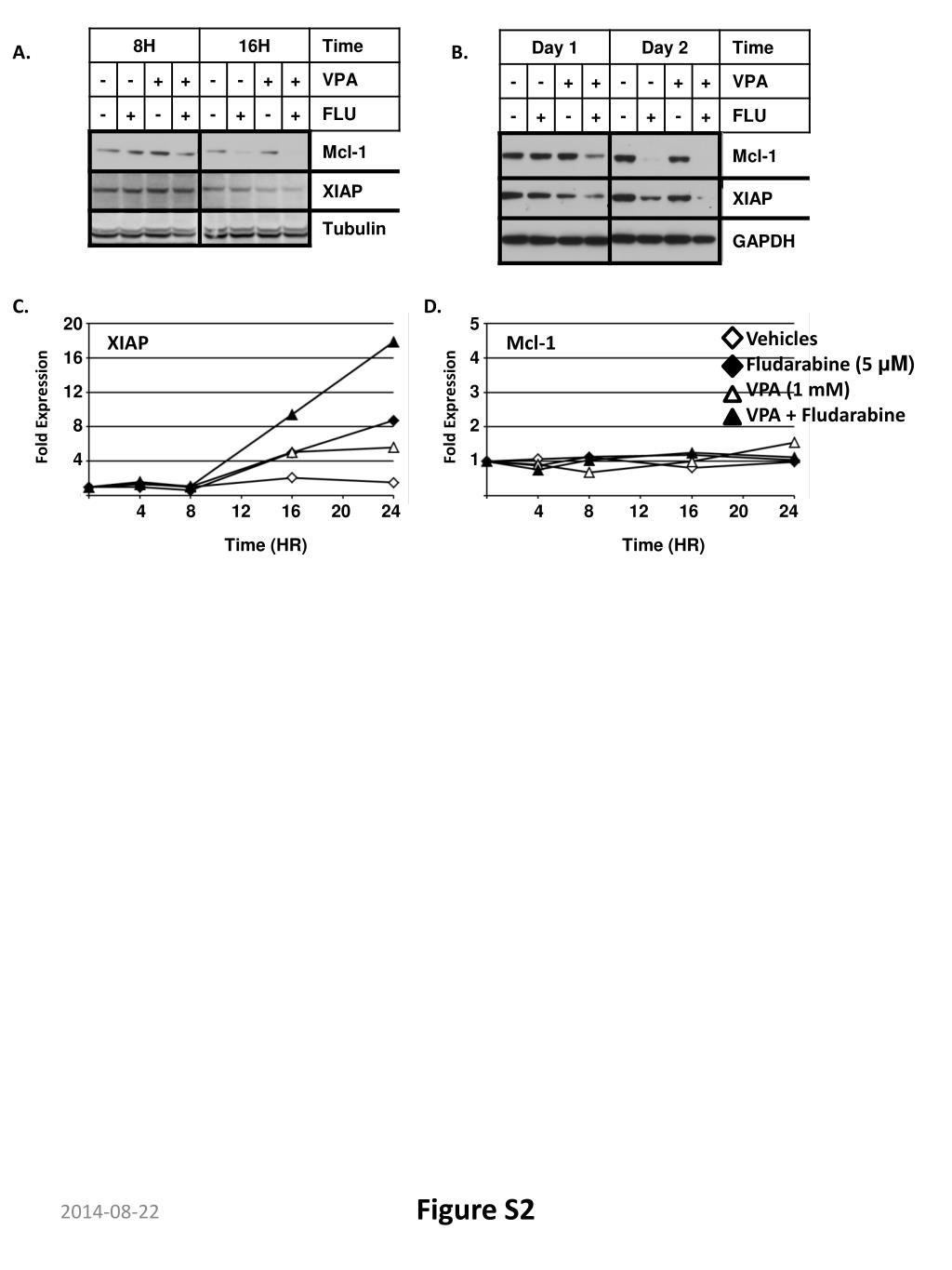 PPT - Supplemental Table 1. Valproic Acid levels in the serum of ...