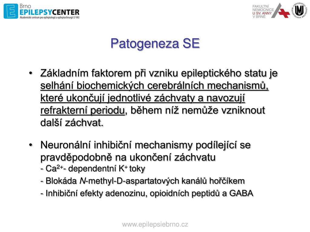 PPT - Status epilepticus a jeho léčba PowerPoint Presentation, free ...