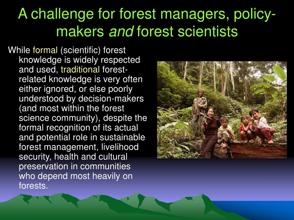 PPT - Forests, Human Health and the Role of Traditional-related Forest ...