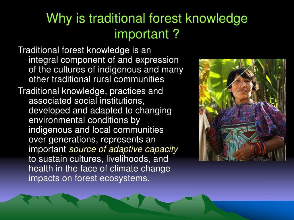 PPT - Forests, Human Health and the Role of Traditional-related Forest Knowledge PowerPoint ...