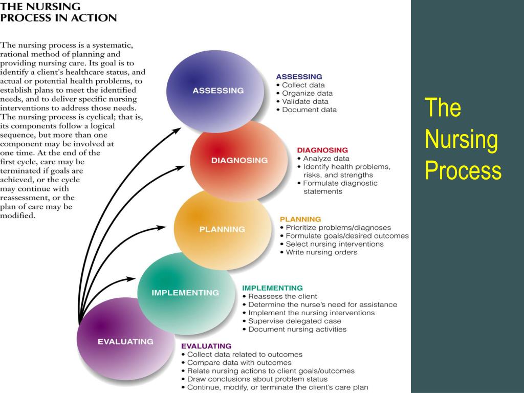 Nursing Process Diagram Vrogue co Nursing Process Diagram Vrogue co