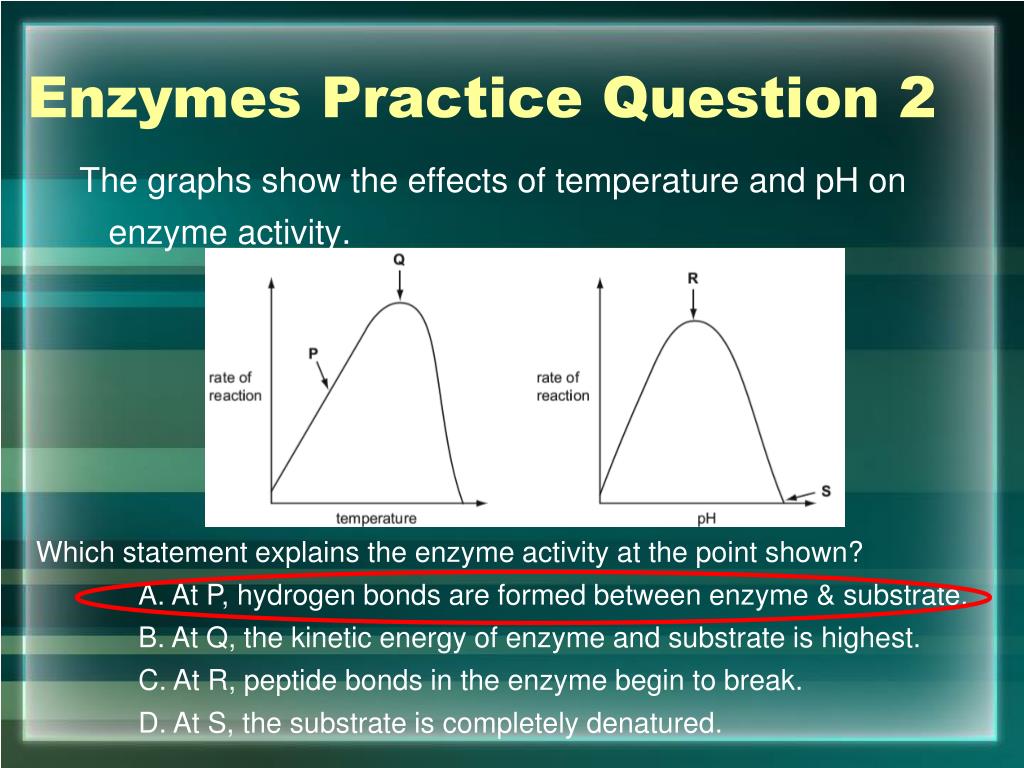 PPT - AICE Biology Lab Review: Biological Molecules & Enzymes ...