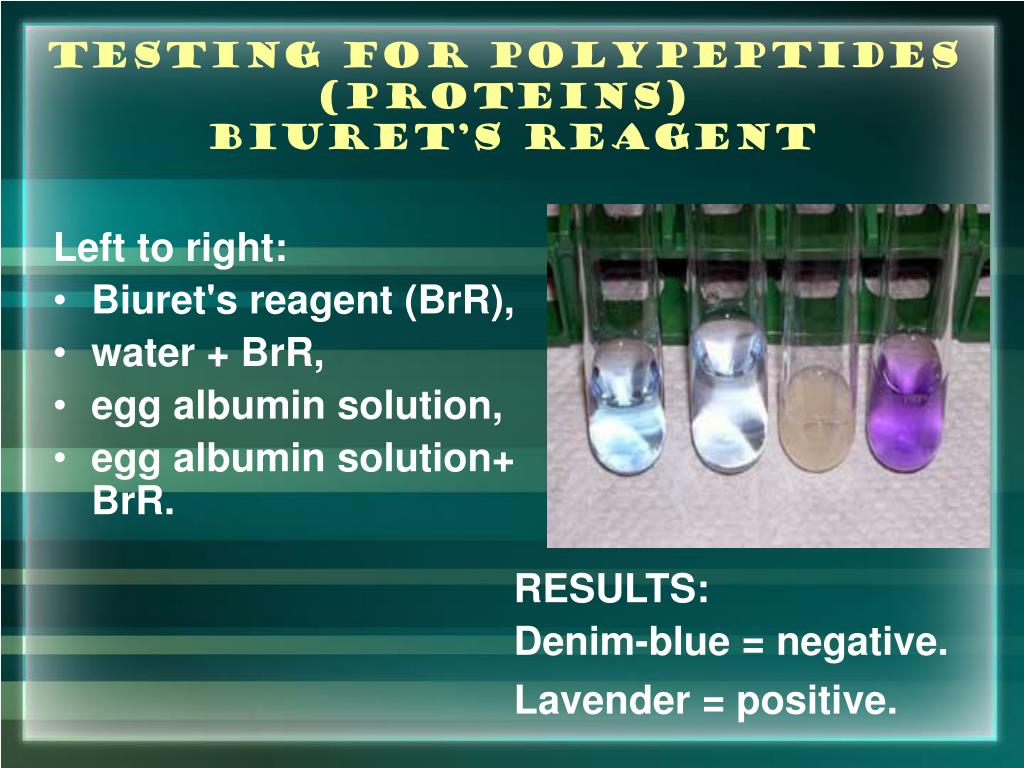 PPT - AICE Biology Lab Review: Biological Molecules & Enzymes ...