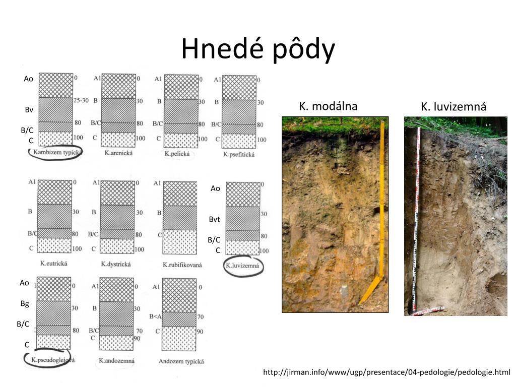 PPT - pedologia.sk/pody/Klasifikacia%20pod%20SR.pdf PowerPoint ...
