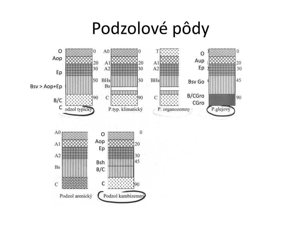 PPT - pedologia.sk/pody/Klasifikacia%20pod%20SR.pdf PowerPoint ...