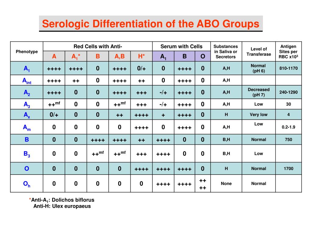 PPT - BLOOD GROUPS ABO AND Rh Serology PowerPoint Presentation, free ...