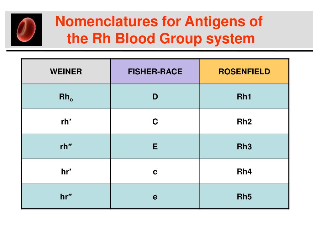 PPT - BLOOD GROUPS ABO AND Rh Serology PowerPoint Presentation, free ...
