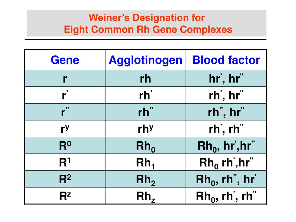 PPT - BLOOD GROUPS ABO AND Rh Serology PowerPoint Presentation, free ...