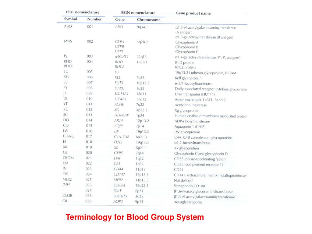 PPT - BLOOD GROUPS ABO AND Rh Serology PowerPoint Presentation, free ...