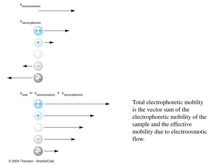 PPT - Chapter 33 Capillary Electrophoresis PowerPoint Presentation - ID ...