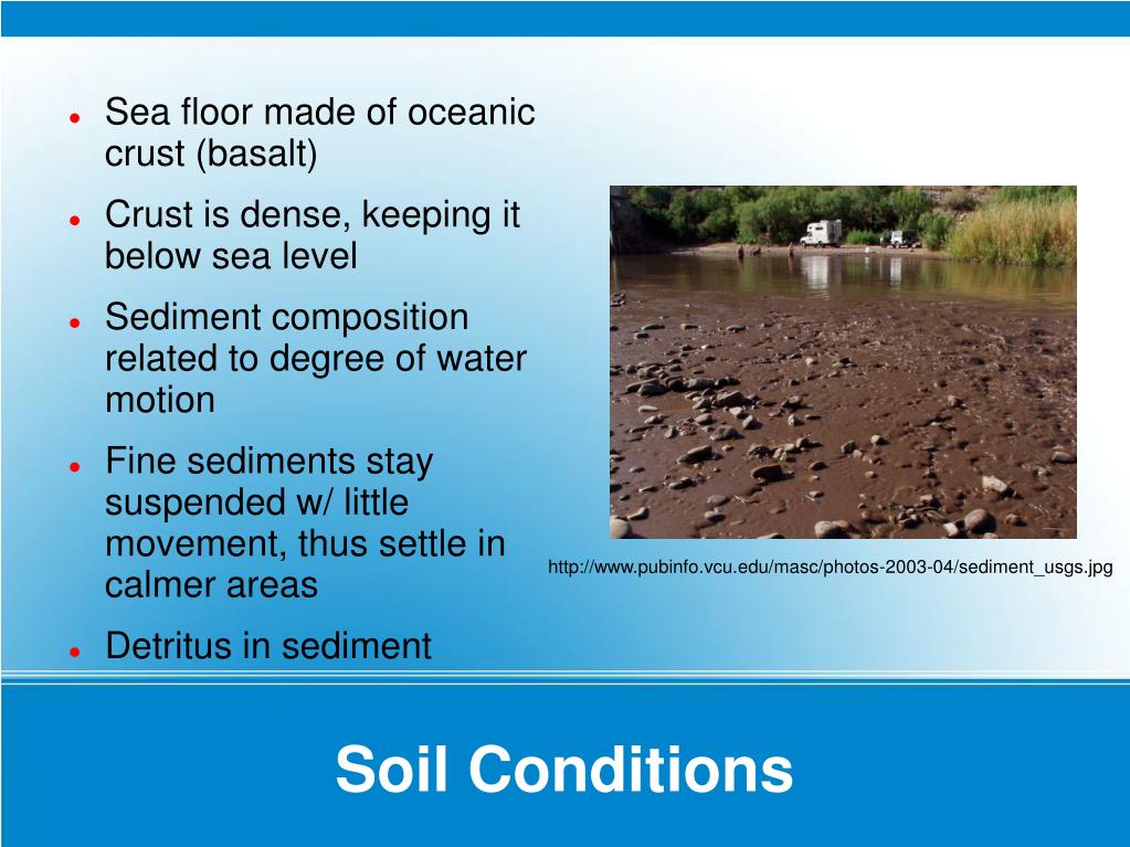 PPT - Marine Biomes PowerPoint Presentation, free download - ID:3407095