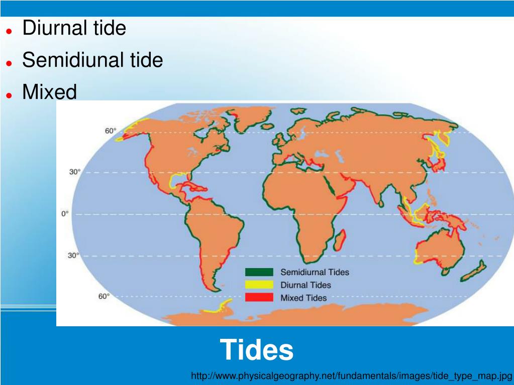 PPT - Marine Biomes PowerPoint Presentation, free download - ID:3407095
