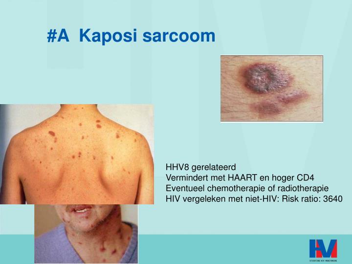 PPT - Nieuwe Gezichten PowerPoint Presentation - ID:3407239