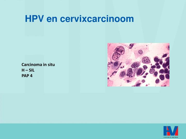 PPT - Nieuwe Gezichten PowerPoint Presentation - ID:3407239
