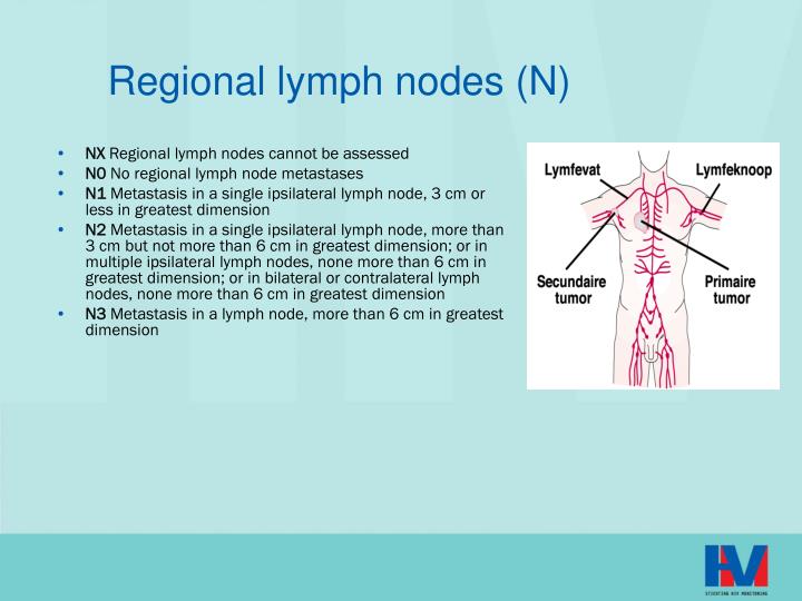 PPT - Nieuwe Gezichten PowerPoint Presentation - ID:3407239