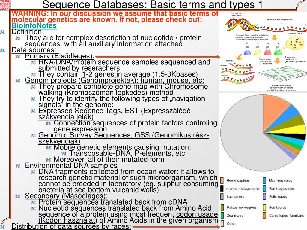 PPT - BioInformatics Consultation Practice 1 Gá bor Pauler , Ph.D. Tax ...