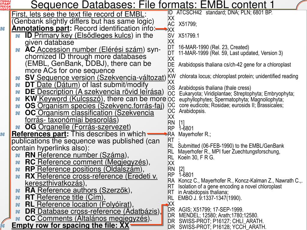 PPT - BioInformatics Consultation Practice 1 Gá bor Pauler , Ph.D. Tax ...