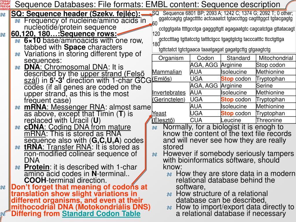PPT - BioInformatics Consultation Practice 1 Gá bor Pauler , Ph.D. Tax.reg.no: 63673852-3-22 ...