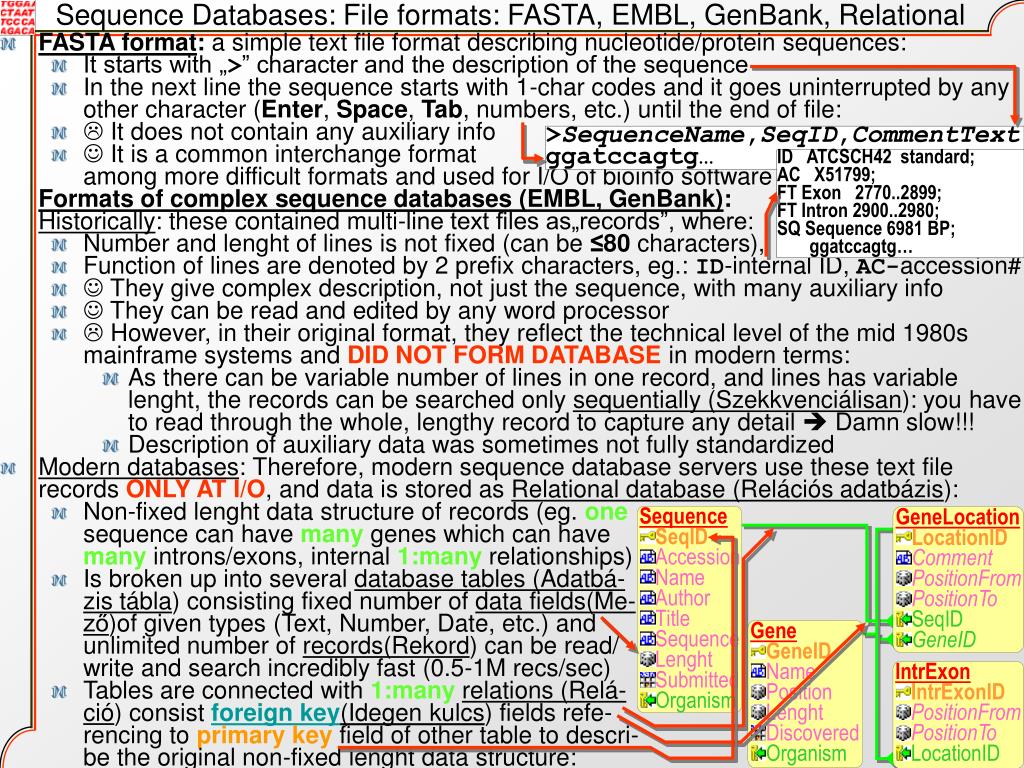 PPT - BioInformatics Consultation Practice 1 Gá bor Pauler , Ph.D. Tax ...