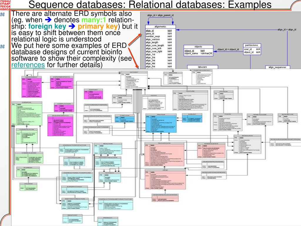 PPT - BioInformatics Consultation Practice 1 Gá bor Pauler , Ph.D. Tax ...