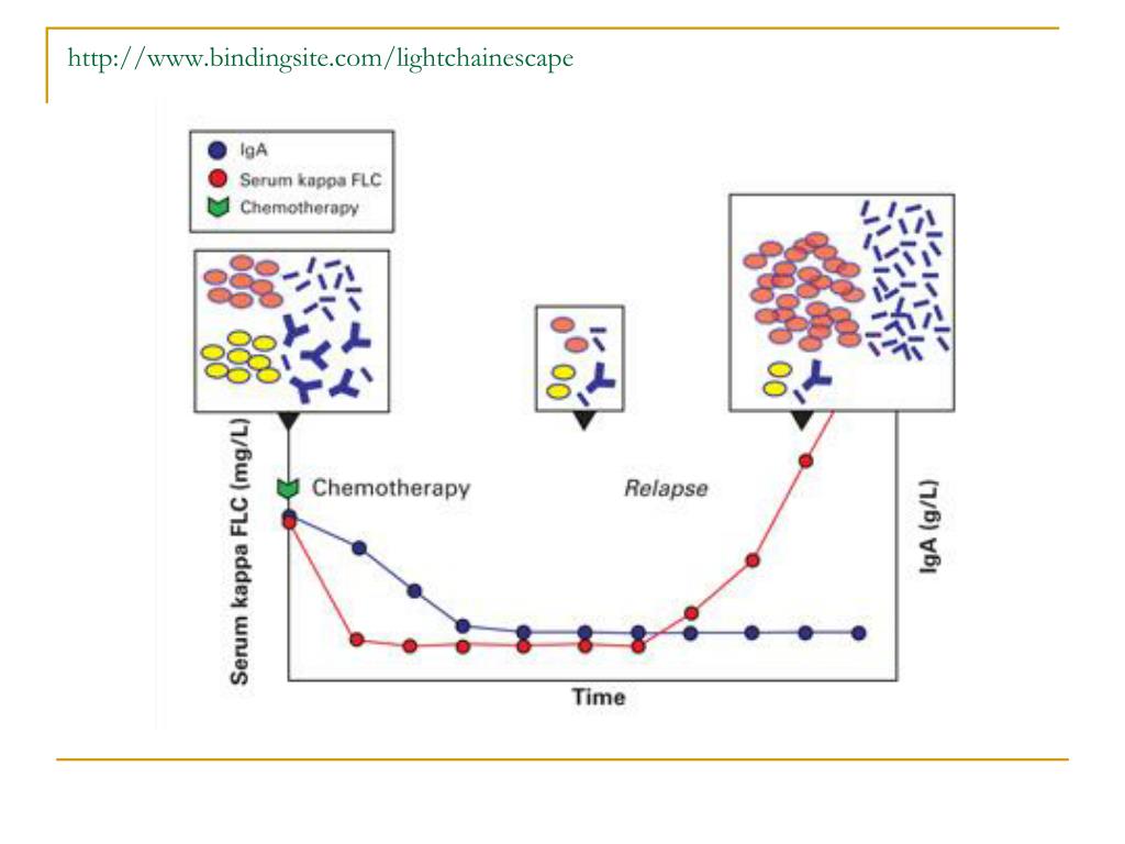 PPT - Clinical interpretation of Serum Free Light Chain assays ...