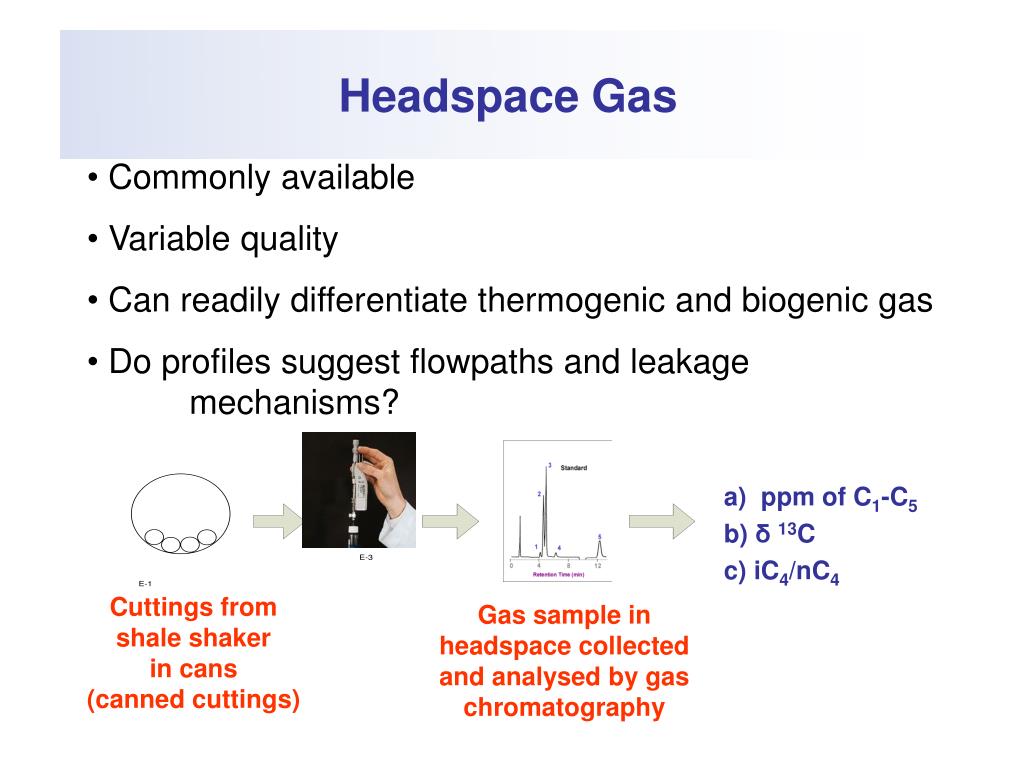 PPT - LEAKAGE OF GAS THROUGH CAPROCKS: HEADSPACE GAS EVIDENCE FROM THE ...