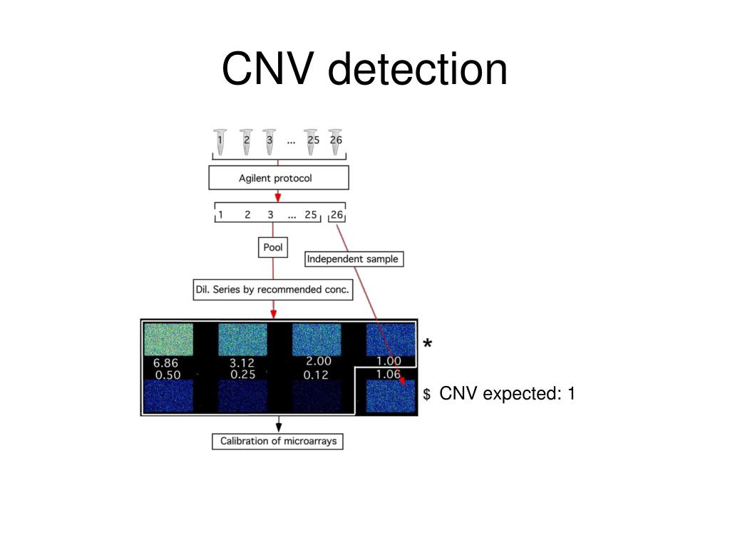 PPT Direct Calibration Of Microarray Probes PowerPoint Presentation