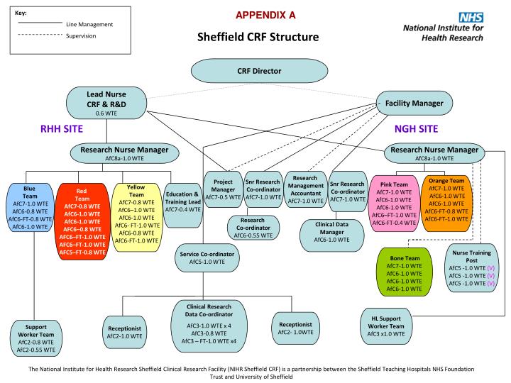 PPT - Sheffield CRF Structure PowerPoint Presentation, free download ...