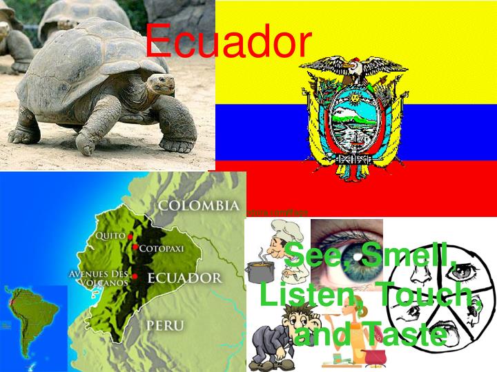 PPT - Ecuador PowerPoint Presentation, free download - ID:3410102