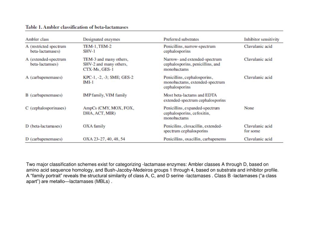 PPT - b -lattamasi Penicillinasi-cefalosporinasi-carbapenemasi ...