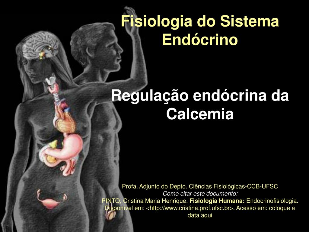 PPT - Fisiologia do Sistema Endócrino Regulação endócrina da Calcemia ...