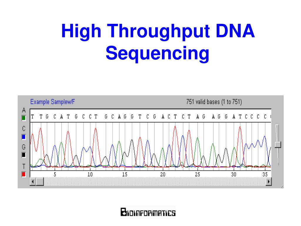 Ppt High Throughput Dna Sequencing Powerpoint Presentation Free