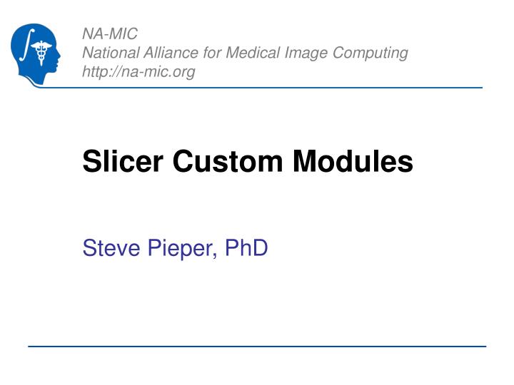 PPT - Slicer Custom Modules PowerPoint Presentation, free download - ID ...