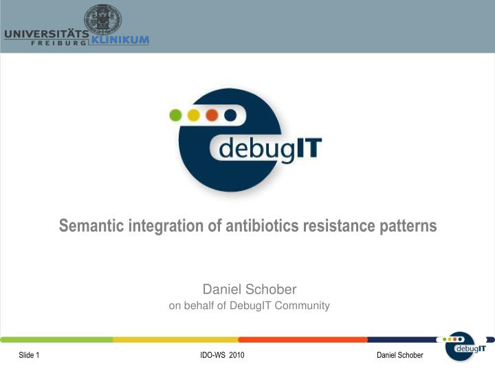 PPT - Daniel Schober on behalf of DebugIT Community PowerPoint Presentation - ID:3412089
