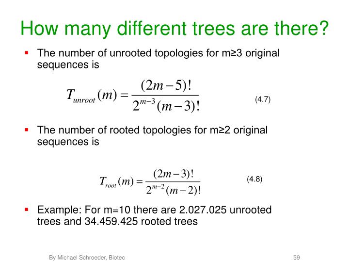 PPT - Multiple Global Alignment and Phylogenetic tree PowerPoint ...