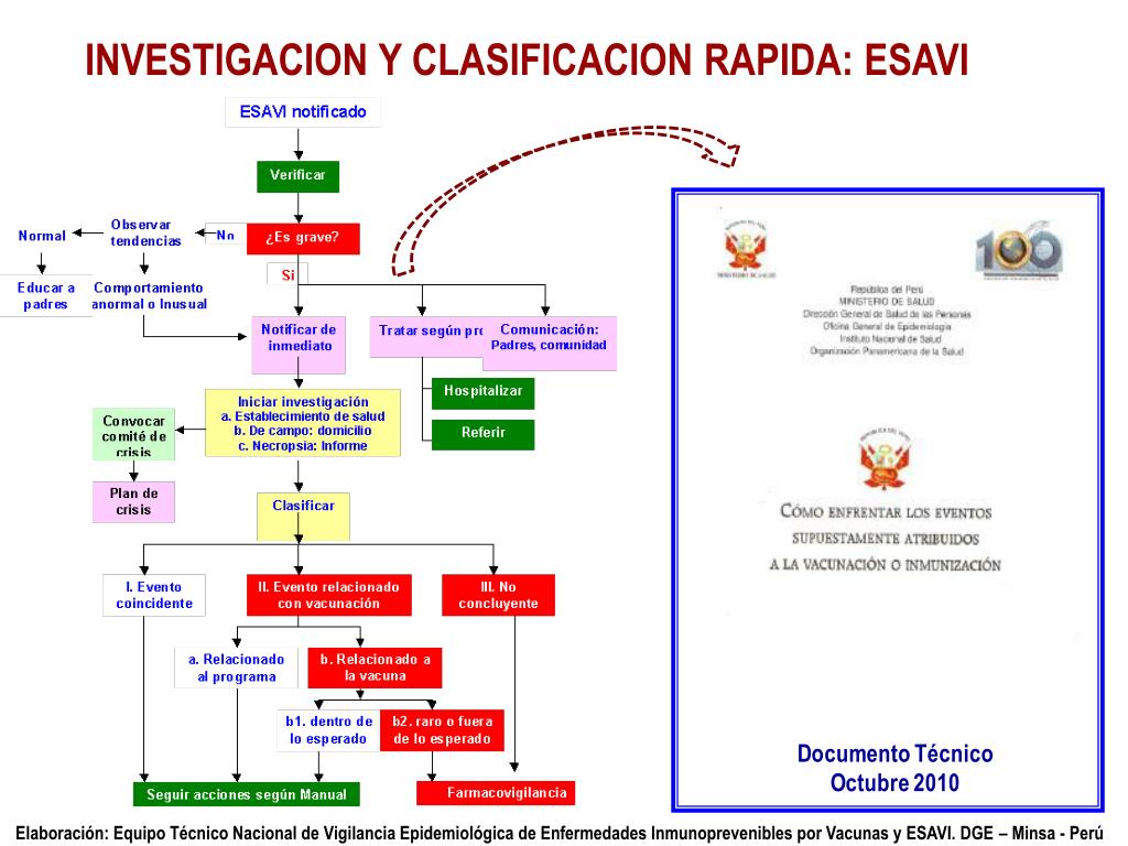 PPT - Equipo Técnico: Vigilancia Epidemiológica de ESAVI Dirección ...