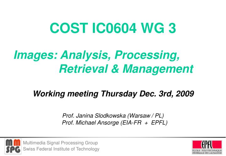 PPT - COST IC0604 WG 3 PowerPoint Presentation, free download - ID:3412458