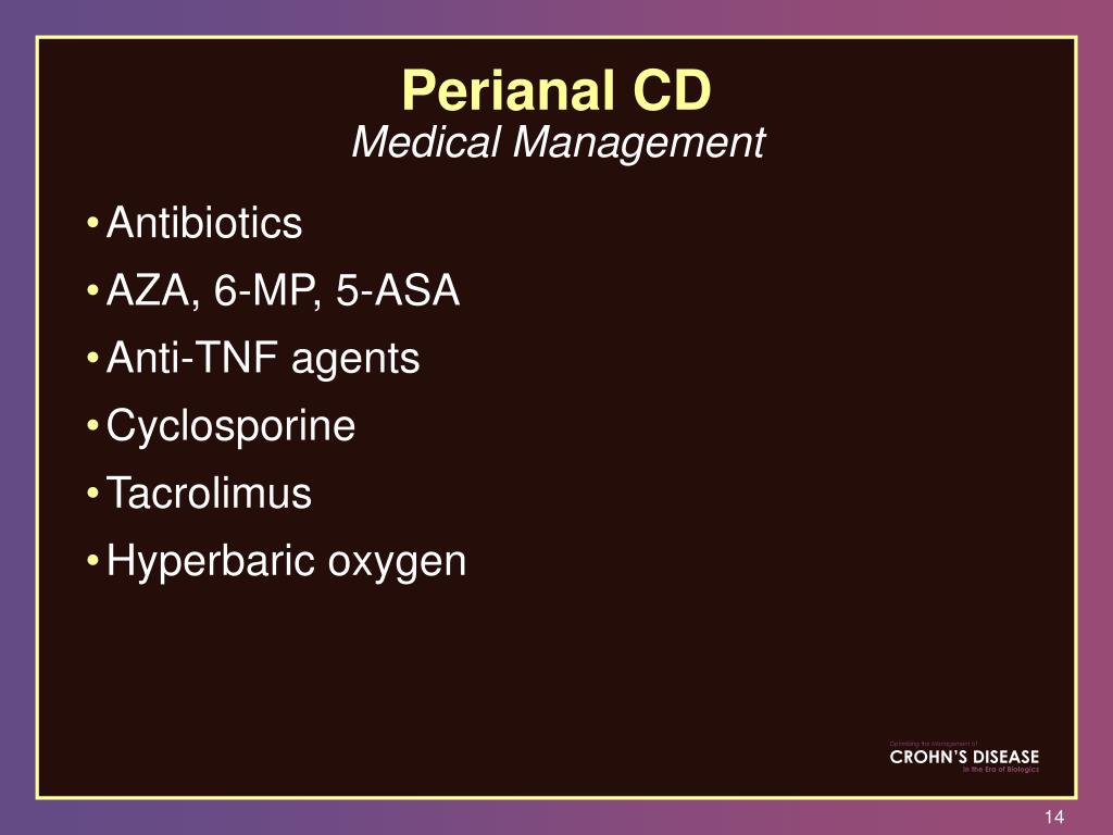 PPT - The Patient With Perianal Crohn’s Disease PowerPoint Presentation ...