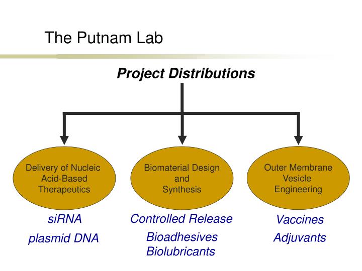 PPT - The Putnam Lab PowerPoint Presentation, free download - ID:3413019