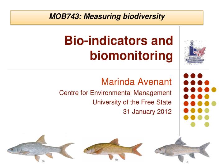 PPT - Bio-indicators and biomonitoring PowerPoint Presentation, free ...
