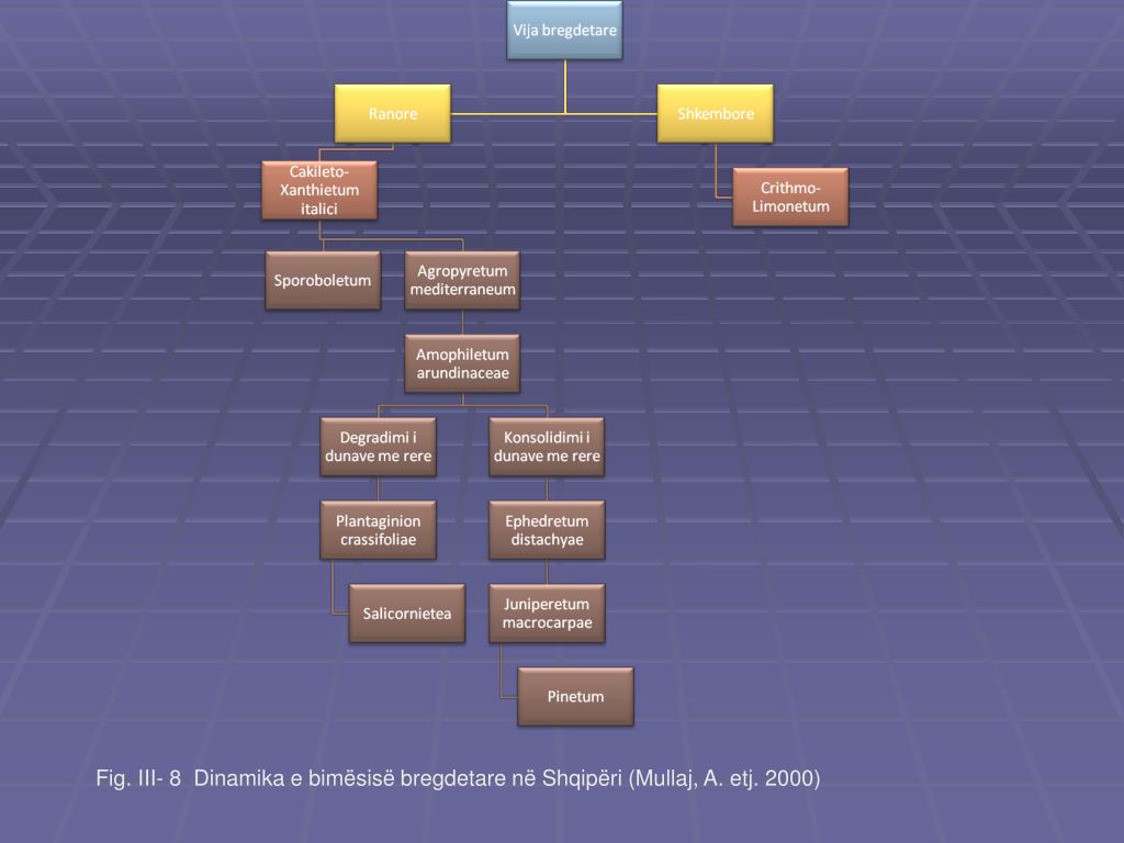 PPT - TË DHËNA PËR DIVERSITETIN BIMOR DHE VLERAT E FLORËS NË ZONËN E ...