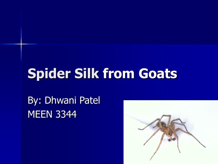 PPT - Spider Silk from Goats PowerPoint Presentation, free download ...