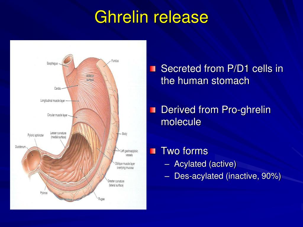 PPT - Dietary Balances Regulation of Feeding and Obesity PowerPoint ...